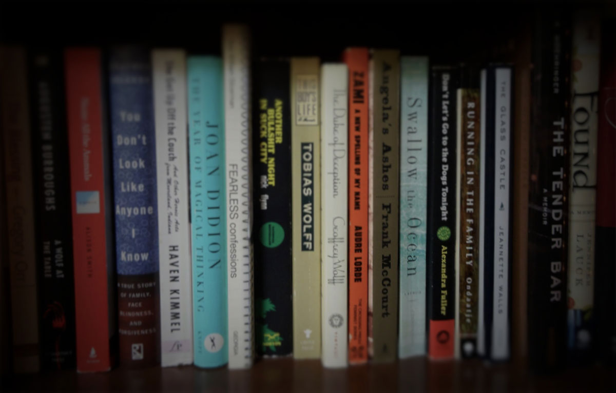 luanne-castle-bookshelf-website-header